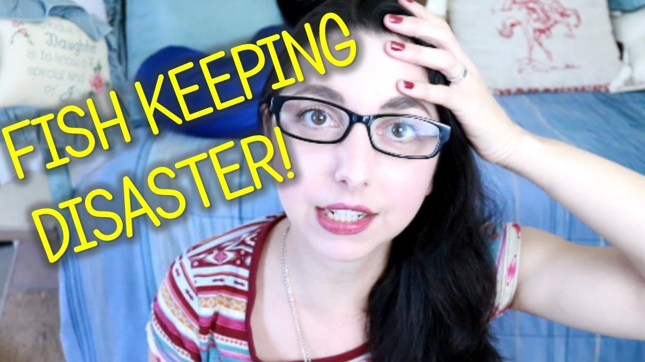 Worst Day In Fish Keeping! | My Aquarium Disasters! - YouTube