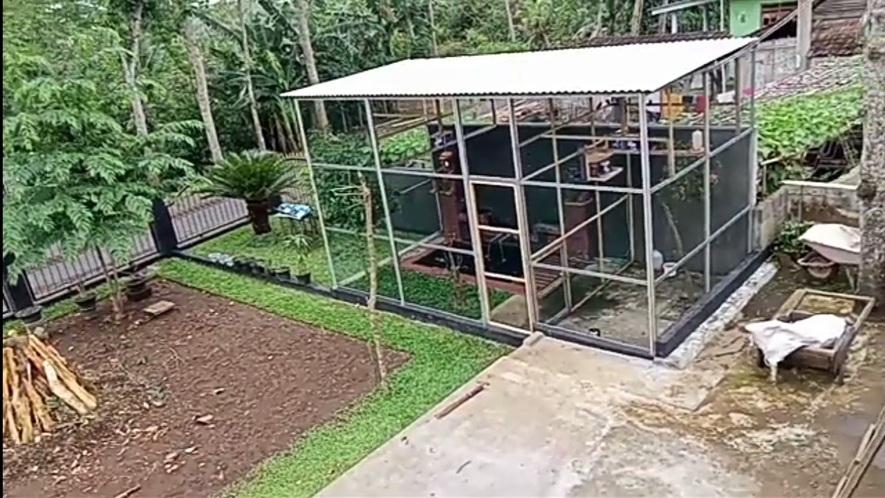 (aviary mini) BANYAK BURUNG BERKICAU DI AVIARY MINI - YouTube