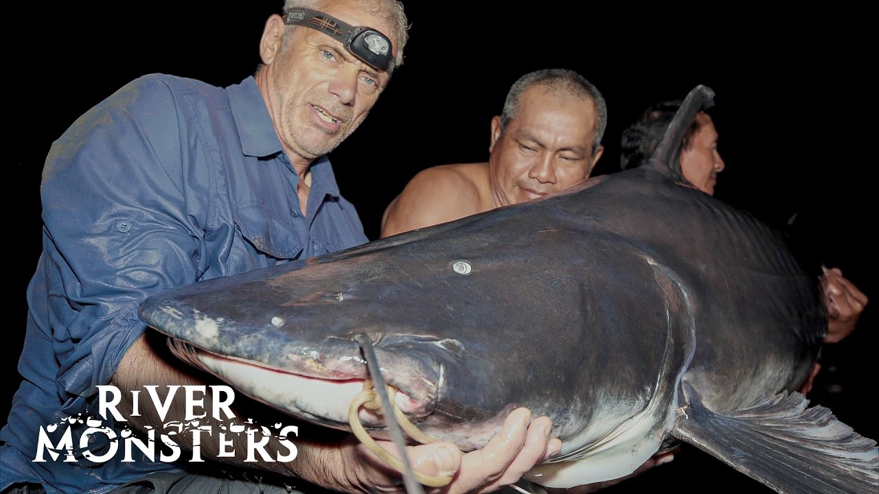This 250-pound, 7.5-foot Piraiba is a MAN-EATING MONSTER! | River Monsters - YouTube