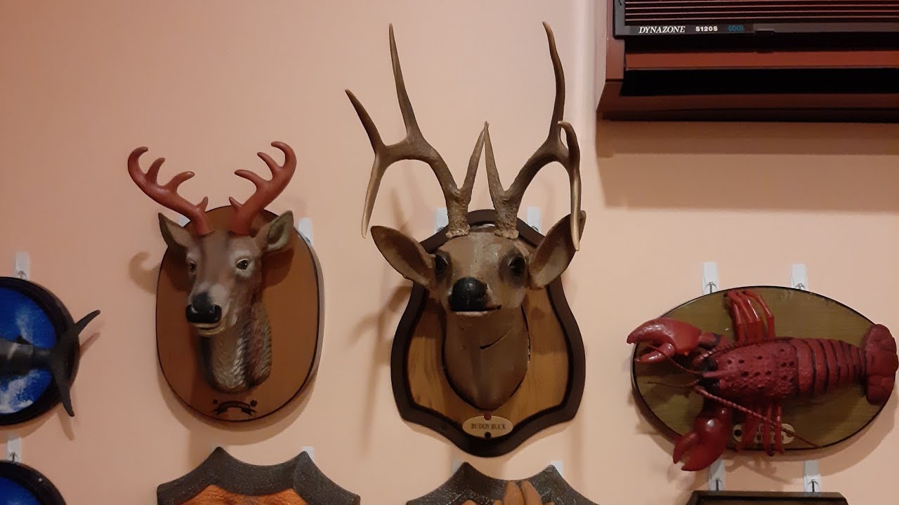 Buddy Buck Singing Deer - YouTube