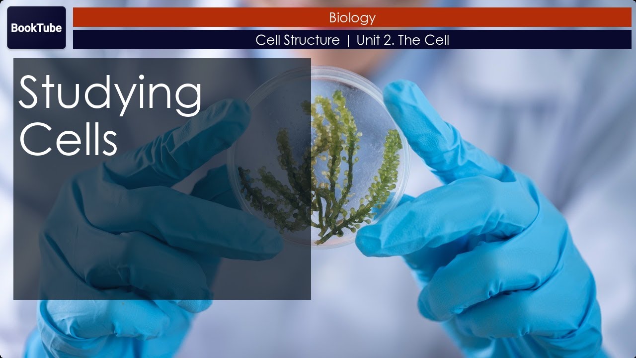 Studying Cells | Cell Structure | Unit 2. The Cell - YouTube