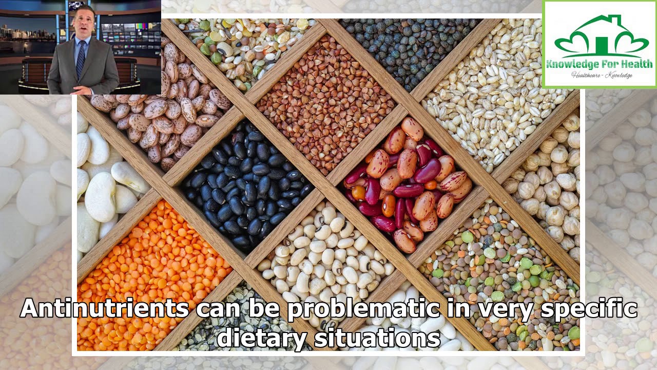 What are antinutrients and do you need to worry about them in your diet ...