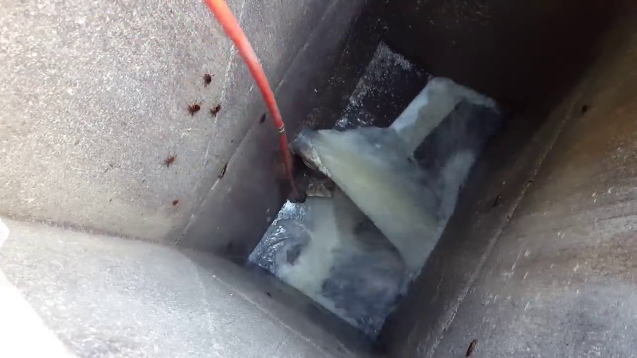 Blocked Drain / Drain unblocking (Rods_Away_A12) - YouTube