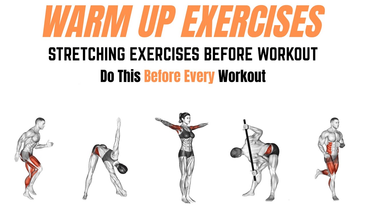 Best Stretching Exercises Before Workout | Full Body Warm-Up Routine 🔥 ...