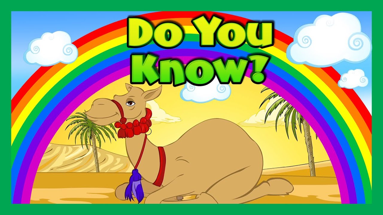 DO YOU KNOW | Things To Know For Kids - Children Learning Video - YouTube