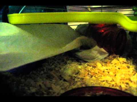 Moar because MOAR - YouTube