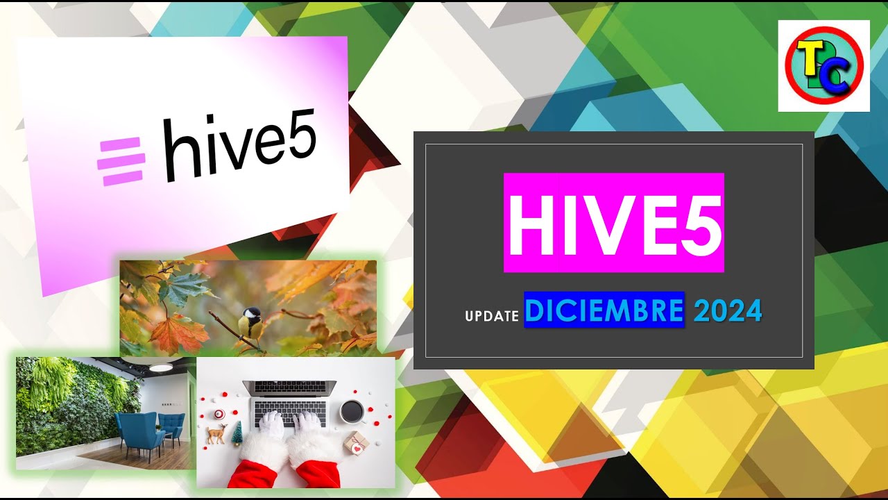 🆕 HIVE5 DICIEMBRE 2024 - Informe 2024 Interno y Bonus... ¡¡Finjet 16%!! - YouTube