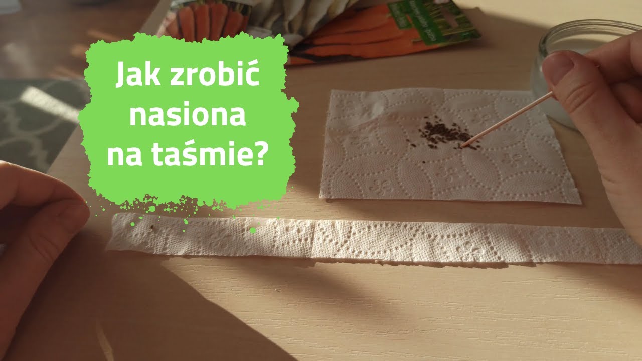 #12 Jak zrobić nasiona na taśmie? - YouTube