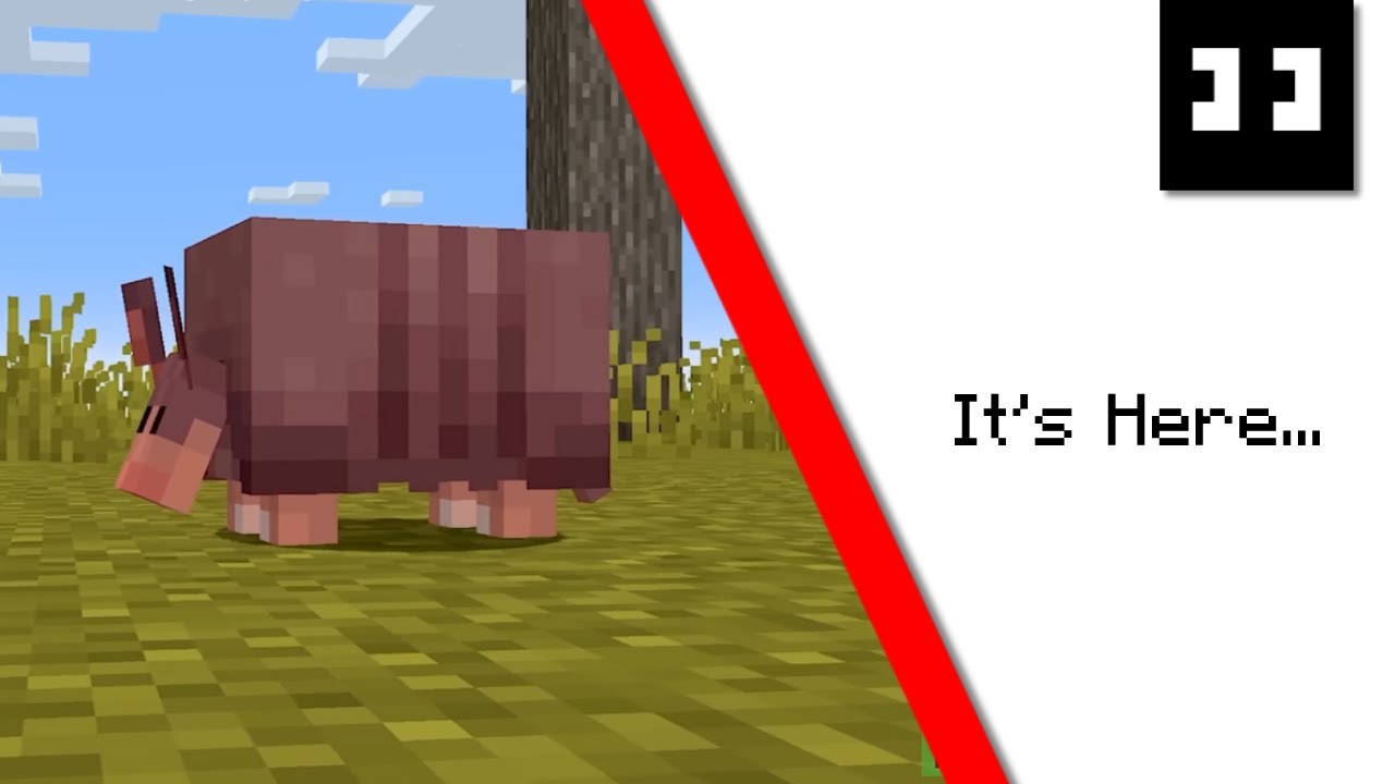 THE ARMADILLO & WOLF ARMOR NOW IN MINECRAFT! - YouTube
