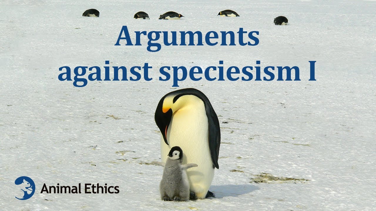 Arguments against speciesism I - YouTube