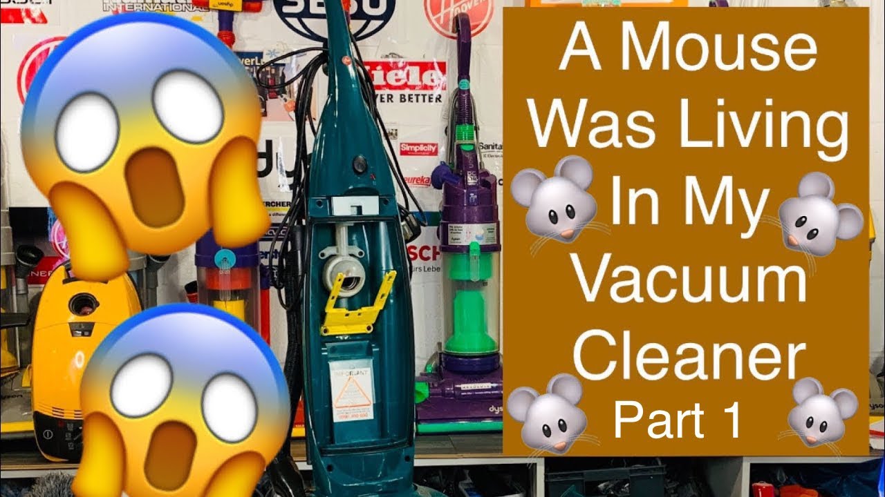 A Mouse Was Living In My Vacuum Cleaner Part 1 - YouTube