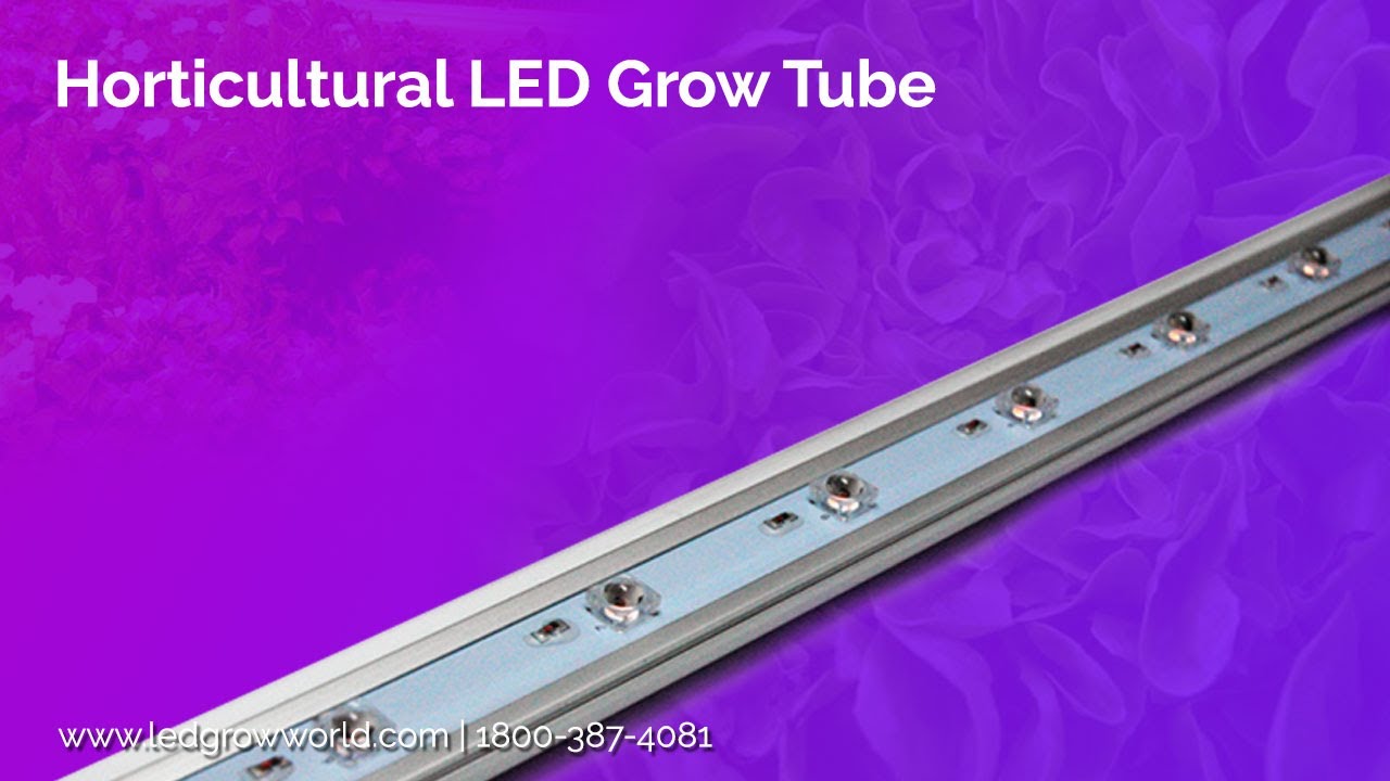 Horticultural LED Grow Tube - YouTube