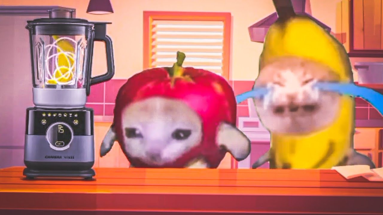 Happy Cat Series🐈 • Episode 11• Happycats Bananacat Youtube