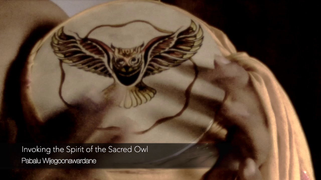 Invoking the Spirit of the Sacred Owl - YouTube