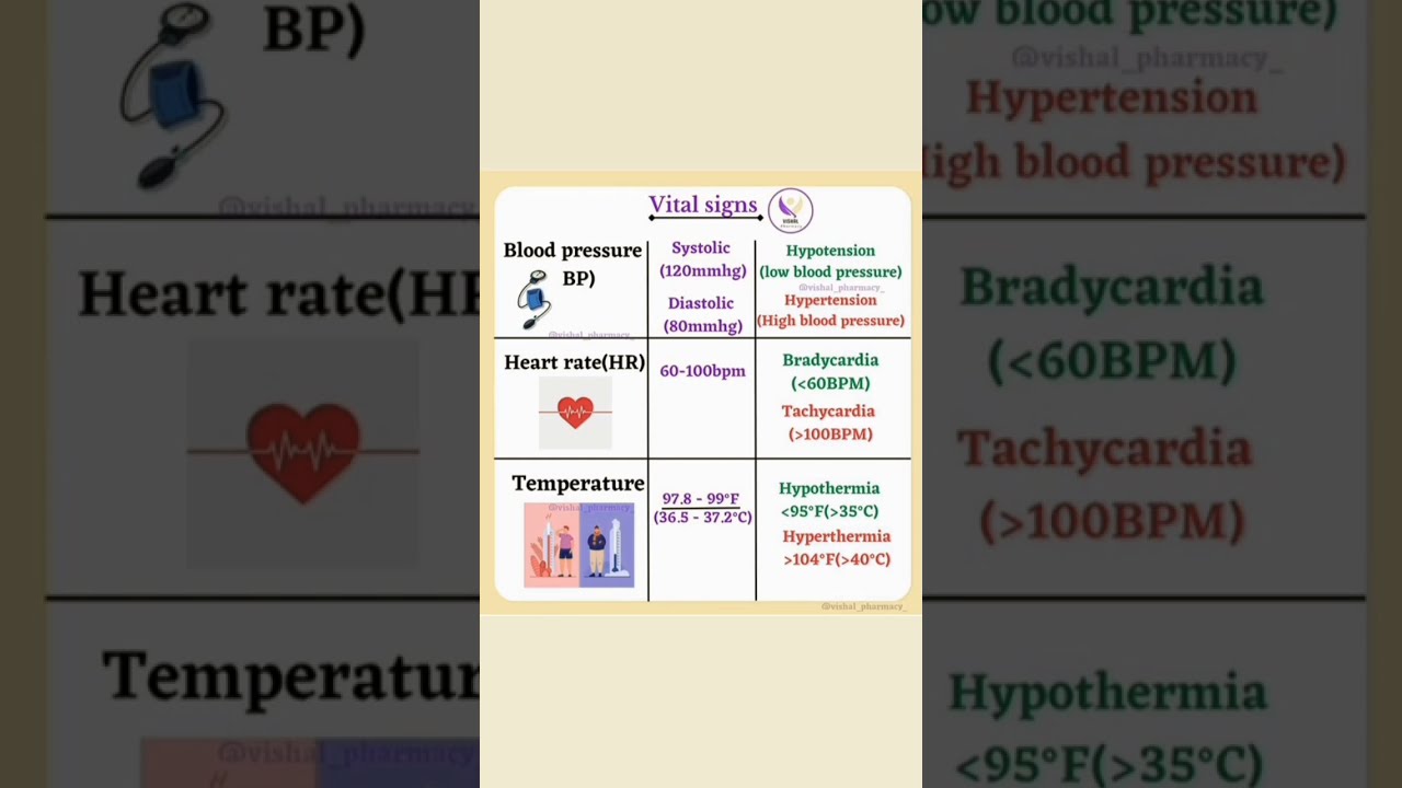 Vital Signs Blood Pressure Heart Rate Temperature Human Body Vital Signs Blood Pressure Heart Rate Temperature Human Body