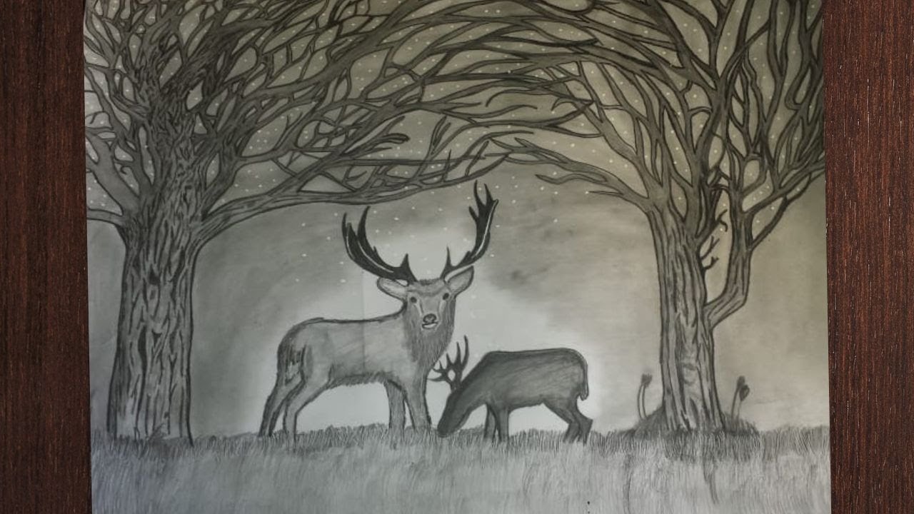 Realistic nature pencil scenery how to draw realistic scenery | how to ...