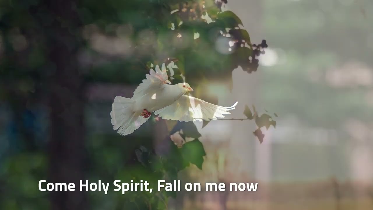 Come Holy Spirit Fall on Me Now - YouTube