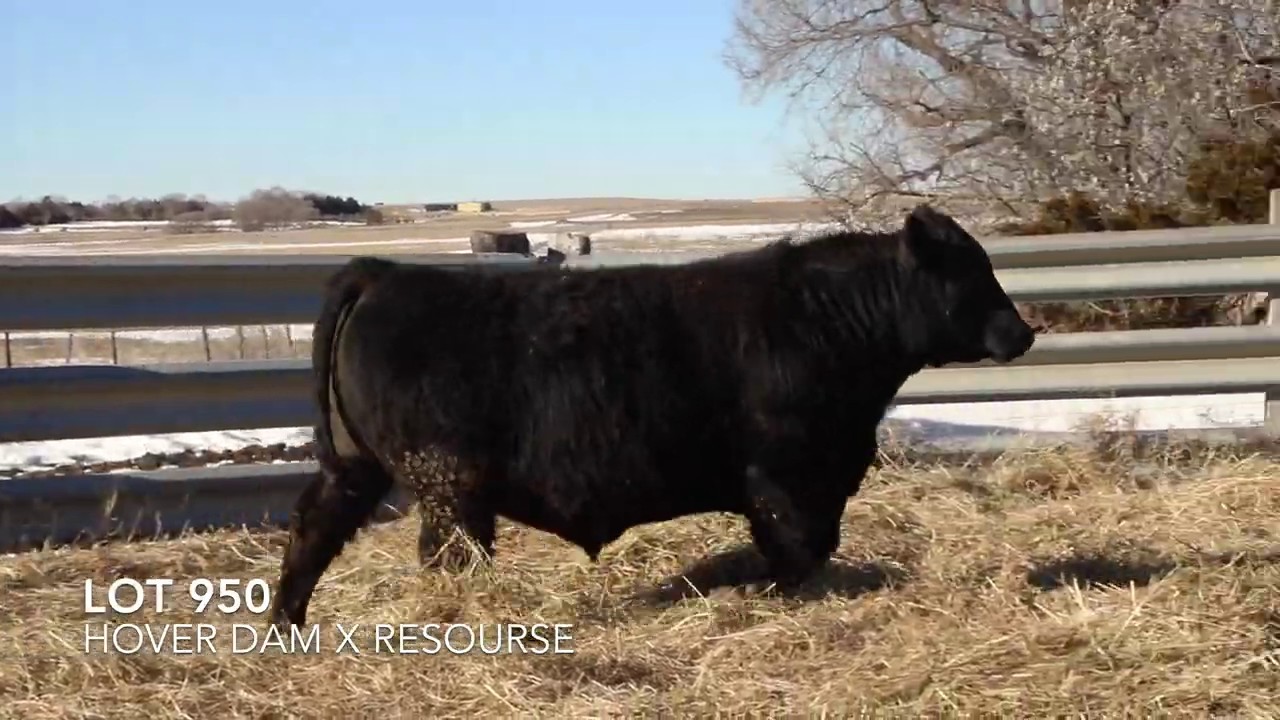 Lot 950 Hover Dam X Resourse - YouTube
