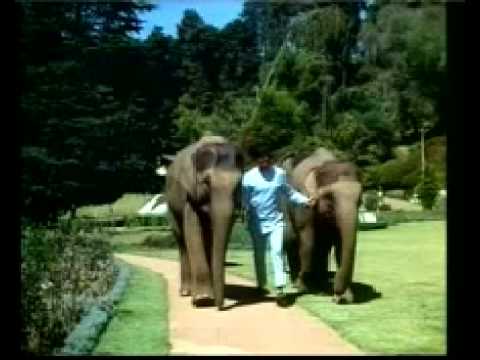 слонът-моят приятел2