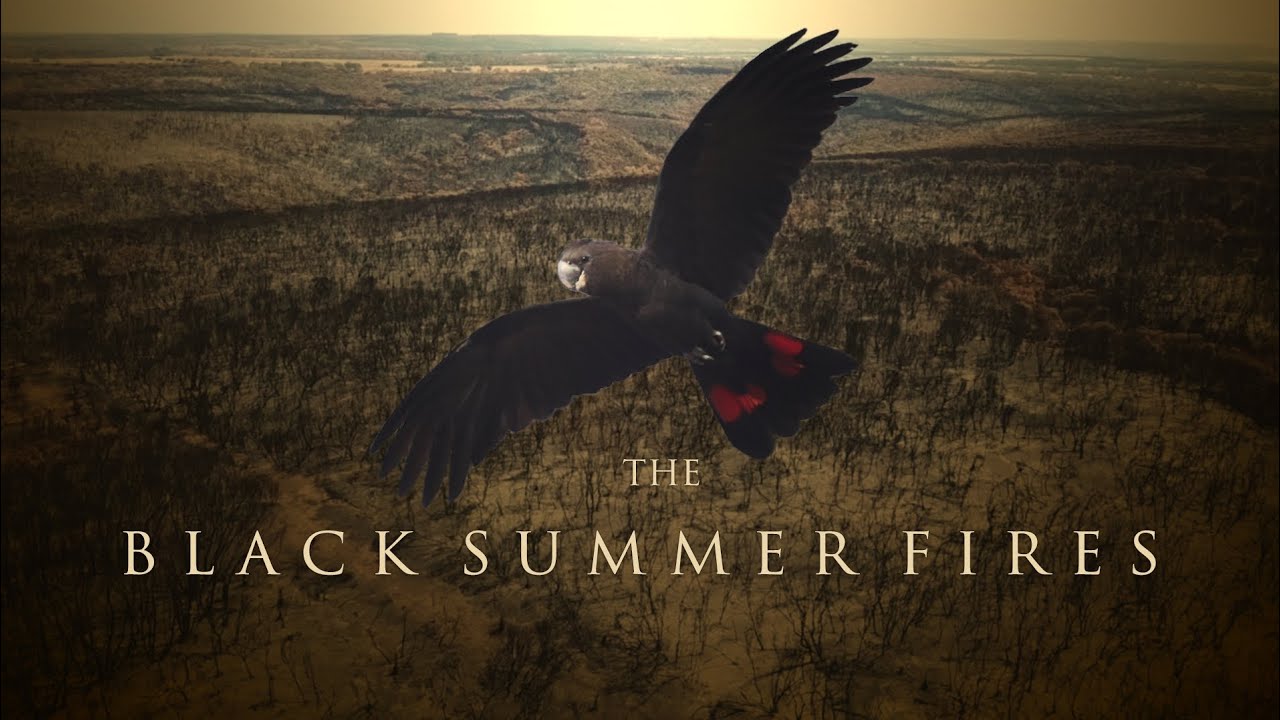 The Black Summer Fires - Three years since the Australian Bushfires of ...