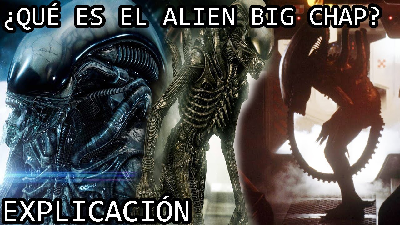 ¿Qué es el Xenomorfo Big Chap? | La Aterradora Historia del Alien Big ...
