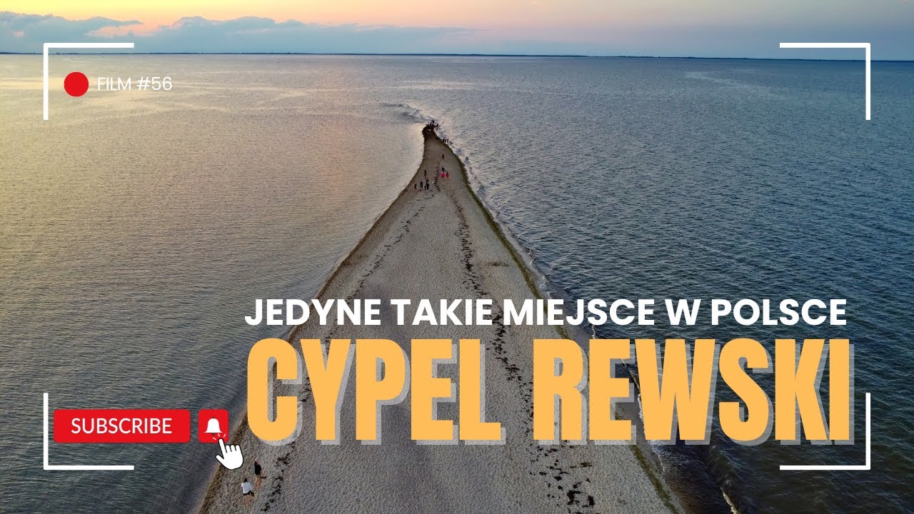 CYPEL REWSKI Z DRONA | MEWIA REWA | RYW MEW | POLSKI CUD NATURY | Morze ...