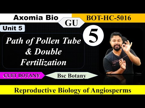 Path of pollen tube & Double Fertilization| Reproductive biology| Bsc Botany| 5th sem GU| Axomia Bio