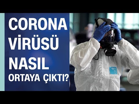 Çin'deki Corona (Korona) virüsü nasıl ortaya çıktı? İnsanlara gerçekten yarasadan mı bulaştı?