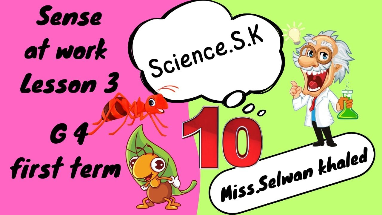 SCIENCE | Grade 4 | Sense at Work Unit 1 - Concept 2 - Lesson 3 | 2024 ...