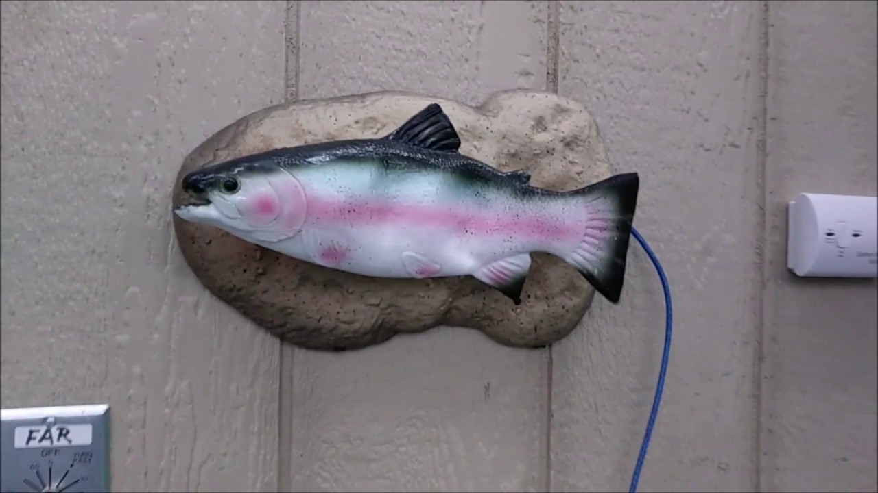 Travis the Trout kitsch singing fish re-incarnated as tennis court ...