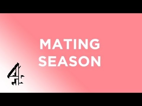 Mating Season | Starts Tonight | Channel 4