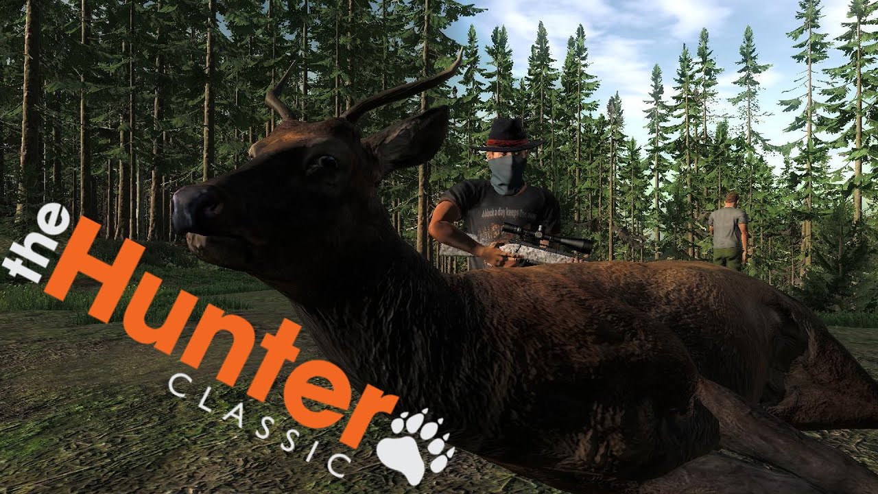 Shootin' Absolute MONSTER Elk In The Hunter Classic - YouTube
