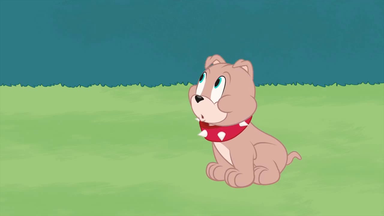 Tom and Jerry | Slicked up pup - YouTube