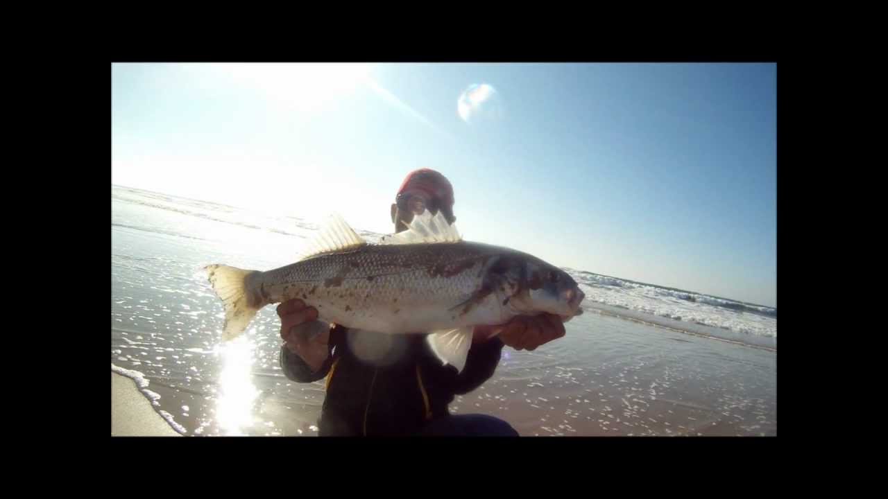 RAUL MARIO PESCA ROBALO GIGANTE SURFCASTING DORADA - YouTube