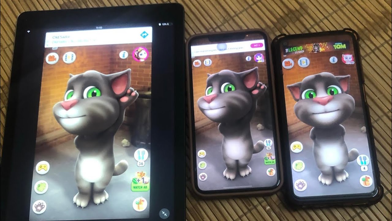 Talking Tom Cat Echo vs Talking Tom Cat Echo vs Talking Tom Cat Echo - YouTube
