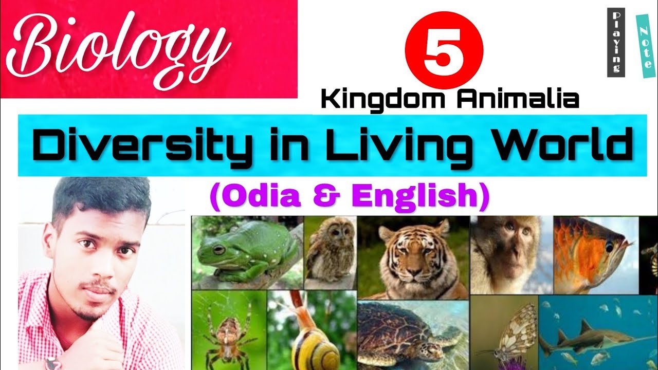 Kingdom Animalia | Diversity in Living World (Part-V) | Playing Note ...