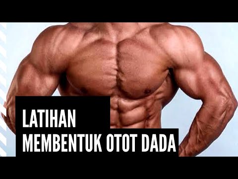 LATIHAN EFEKTIF MEMBENTUK OTOT DADA - YouTube