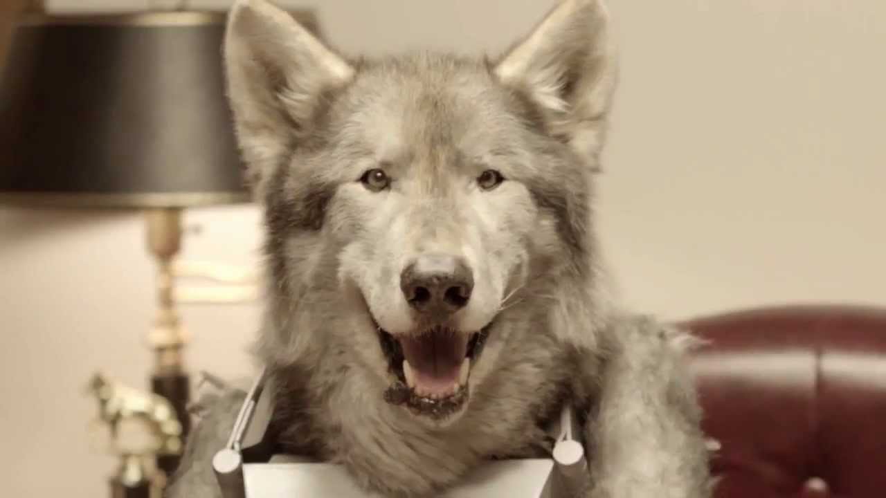 Old Spice Wolfdog Critical Message Watch Now - YouTube
