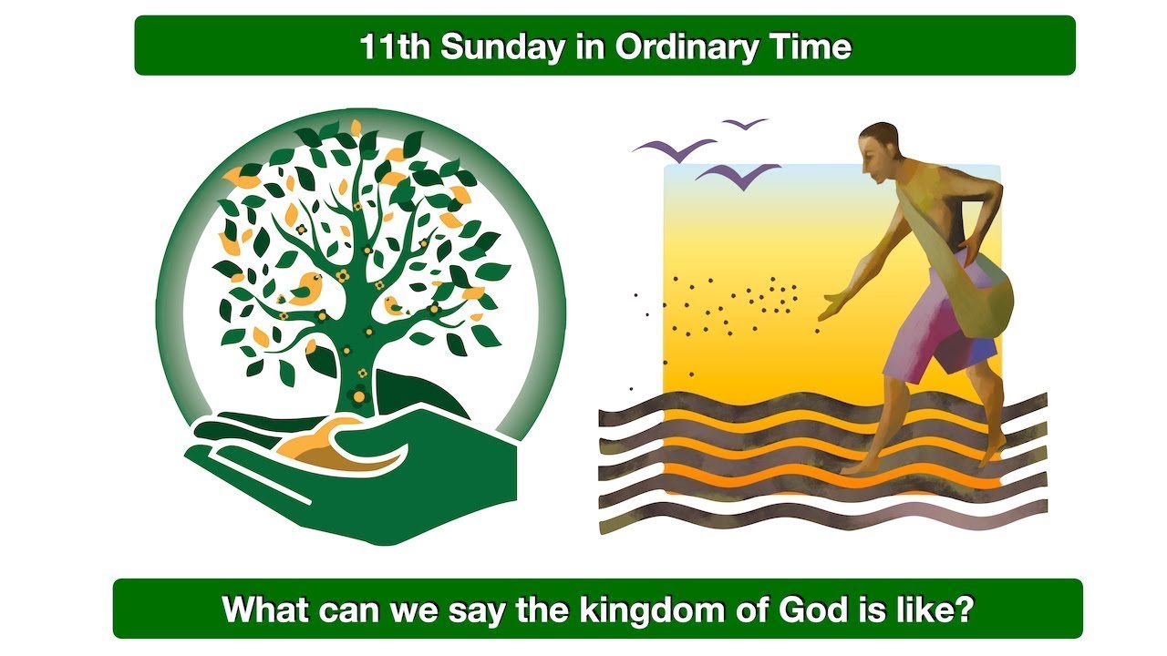 11 am Sunday 16th June - Mass for the 11th Week in Ordinary Time - YouTube