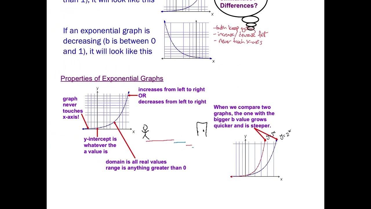 Characteristics of Exponential Functions - YouTube