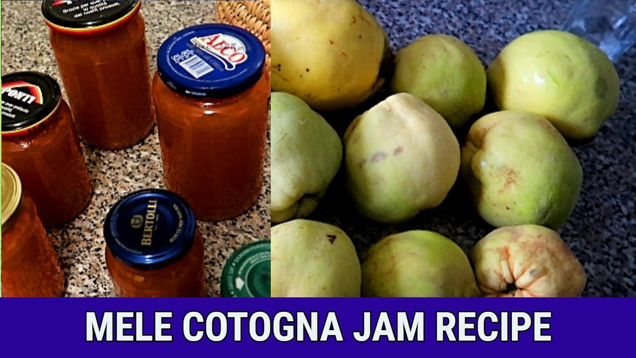 THE BEST TASTY JAM RECIPE OF MELE COTOGNA FRUIT (QUINCE FRUIT) / ETells ...
