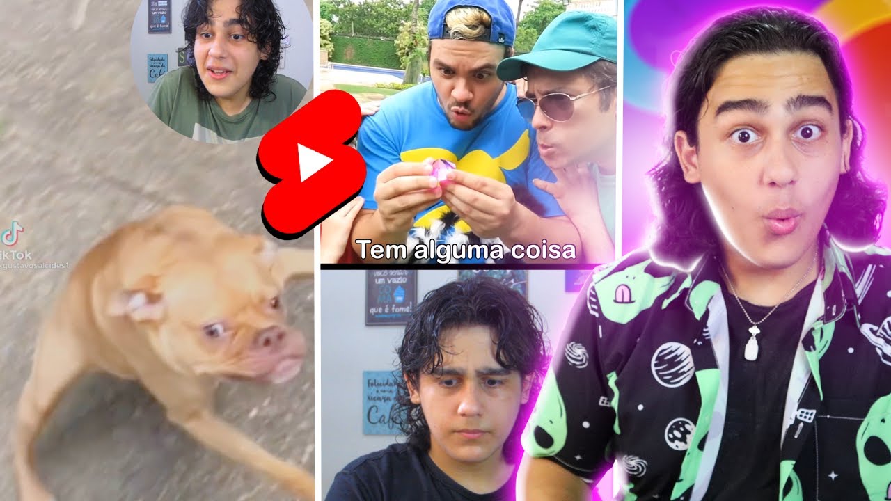 COMPILADO PRA DAR RISADA! O CACHORRO CURURU VOLTOU! - YouTube