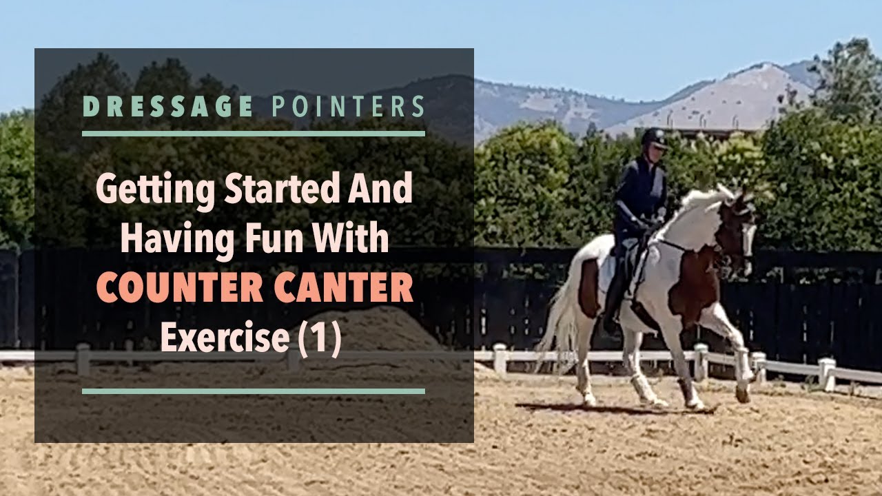 Dressage Pointers: Getting Started And Having Fun With Counter Canter ...