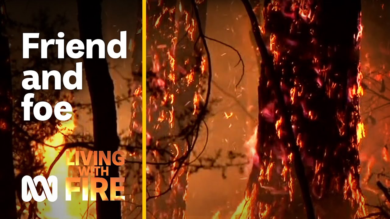 Fire power – Australia’s friend and foe | Living with Fire #1 | ABC ...
