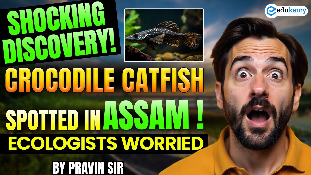 Is This Real?😱 Rare Crocodile Catfish Spotted in Assam’s Rivers | UPSC ...