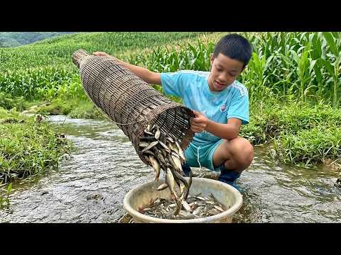 Traditional fishing trapping skills - Jota sets traps to block the stream and catch fish | Jota life