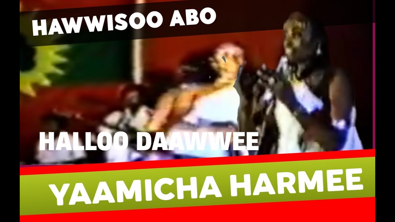 Halloo Daawwee Music: Hawwiso ABO HD | Sirba Qabsoo HD | Best Oromo ...