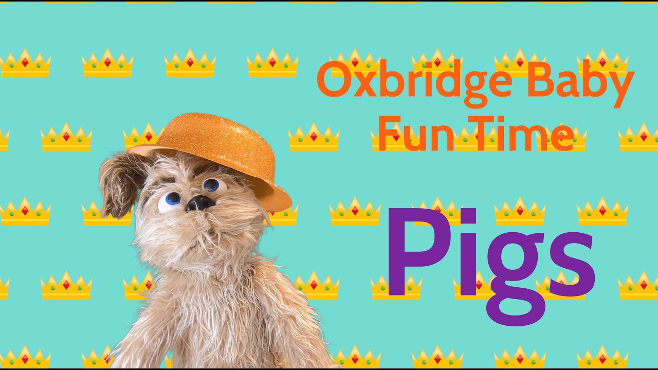 Oxbridge Baby Fun Time - Pigs - YouTube