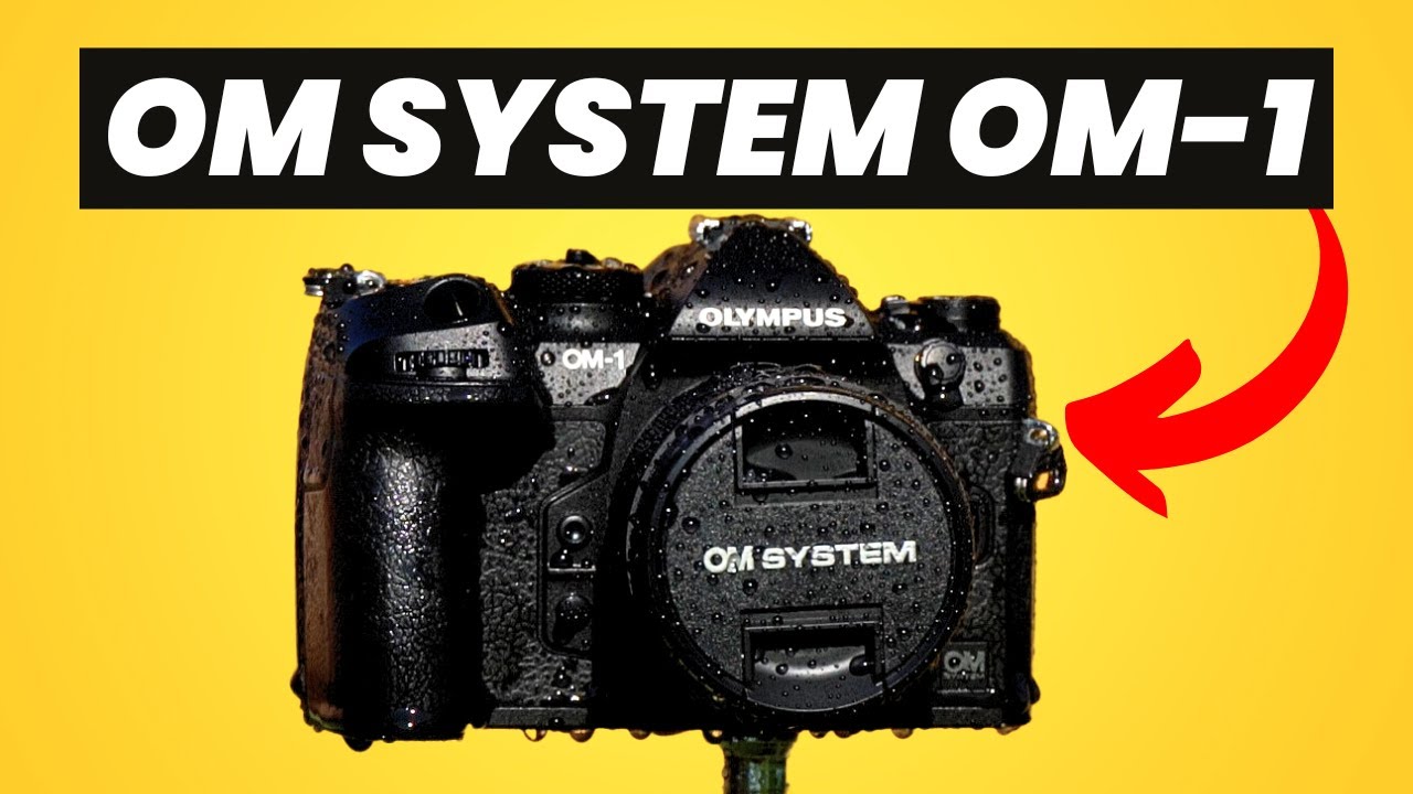 The BEST Micro Four Thirds Camera? OM System OM-1 Review - YouTube