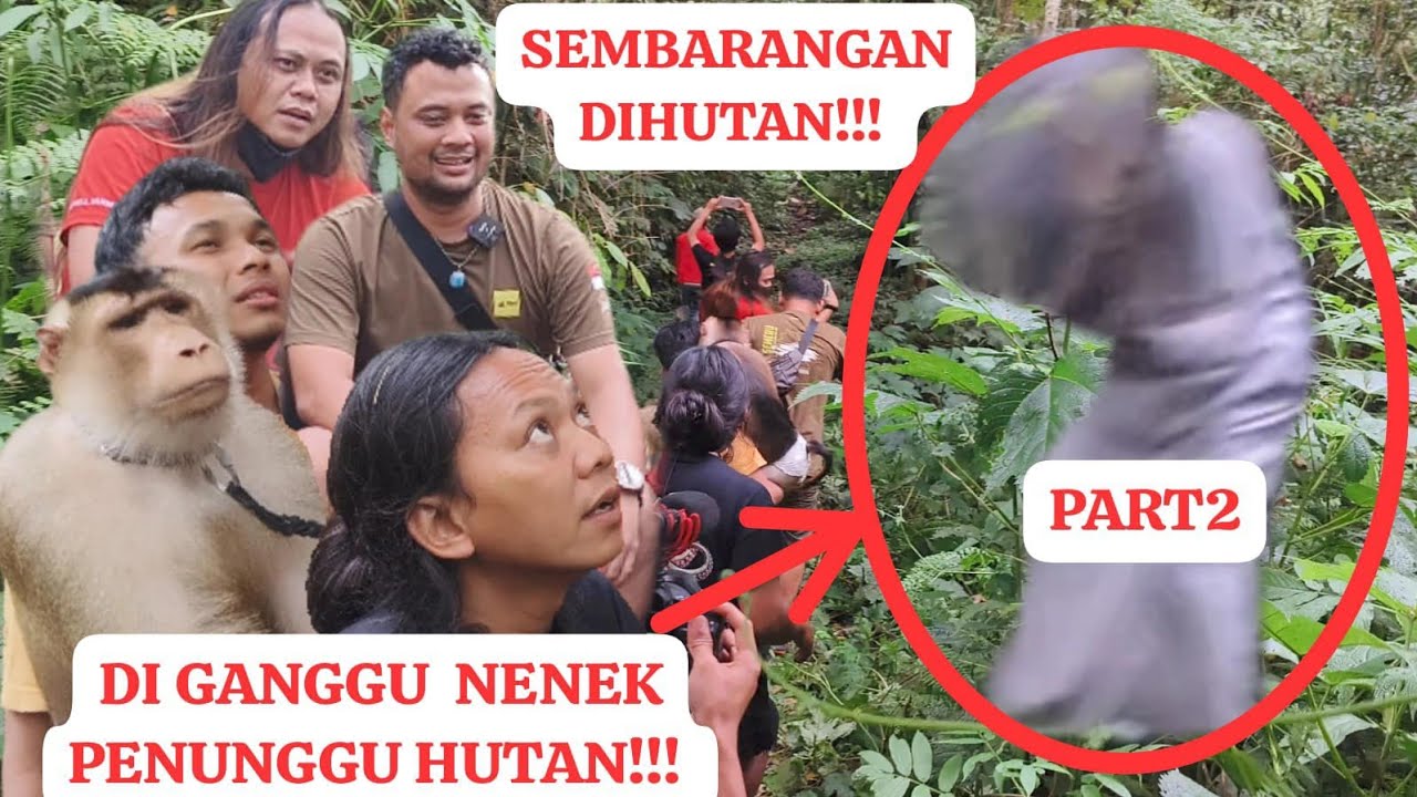 Beruk Bastian diganggu Jin penunggu hutan!!!bersama Panji petualang ...